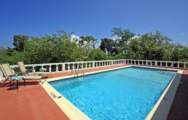 Mysilversands : Doctor Bird - Further Details